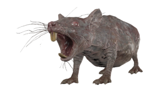 Mangy rad-rat - The Vault Fallout Wiki - Everything you need to know ...