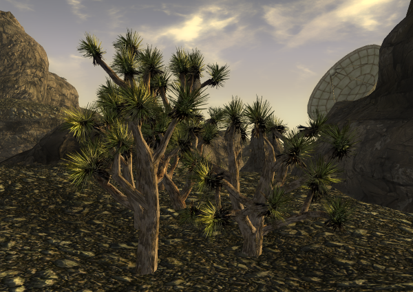 Joshua tree - The Vault Fallout Wiki - Everything you need to know ...