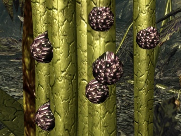 Punga seeds - The Vault Fallout Wiki - Everything you need to know ...