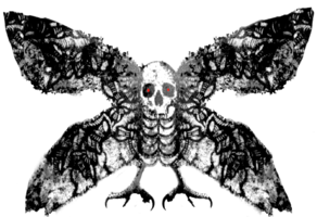 Cult of the Mothman - The Vault Fallout Wiki - Everything you need to ...