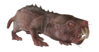 Mole rat (Fallout 76) - The Vault Fallout Wiki - Everything you need to ...