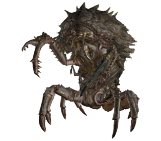 Mirelurk queen - The Vault Fallout Wiki - Everything you need to know ...