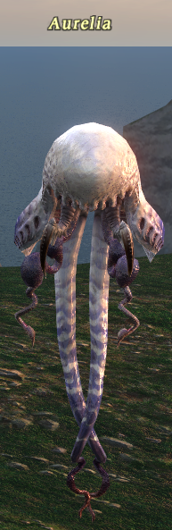 Aurelia Final Fantasy Xiv A Realm Reborn Ffxiv Wiki 