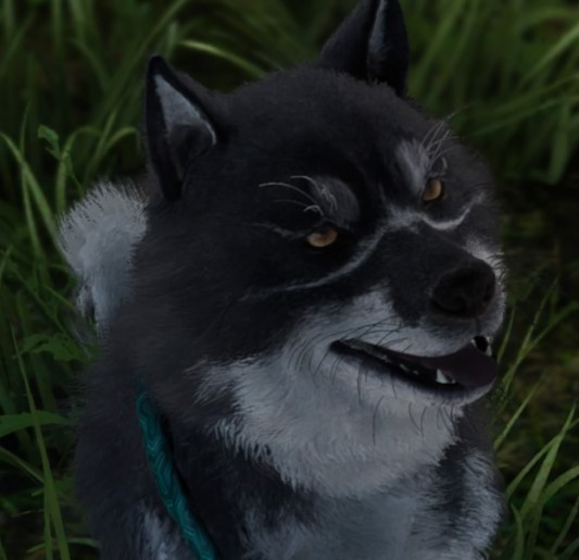 Umbra - Final Fantasy 15 (FFXV) Wiki