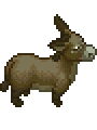 Donkey - Official Graveyard Keeper Wiki