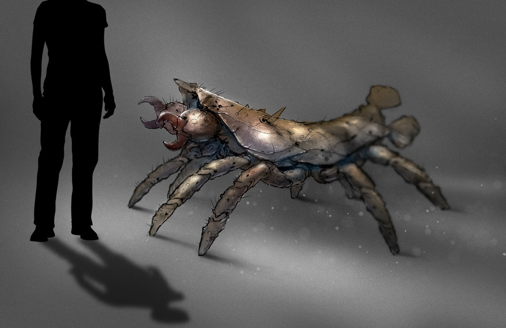 Idr – Offizielles Hexer Wiki - Charaktere, Monster, Orte, Alchemie ...