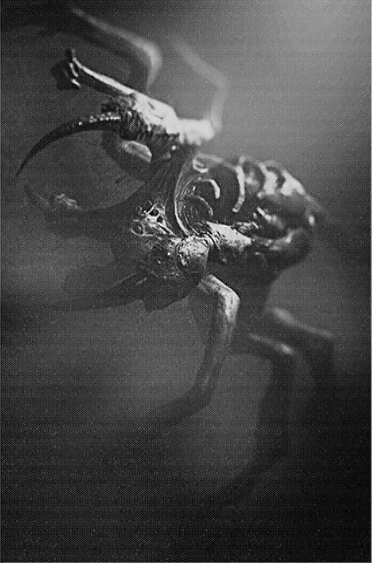 Spider - Official Hunt: Showdown Wiki