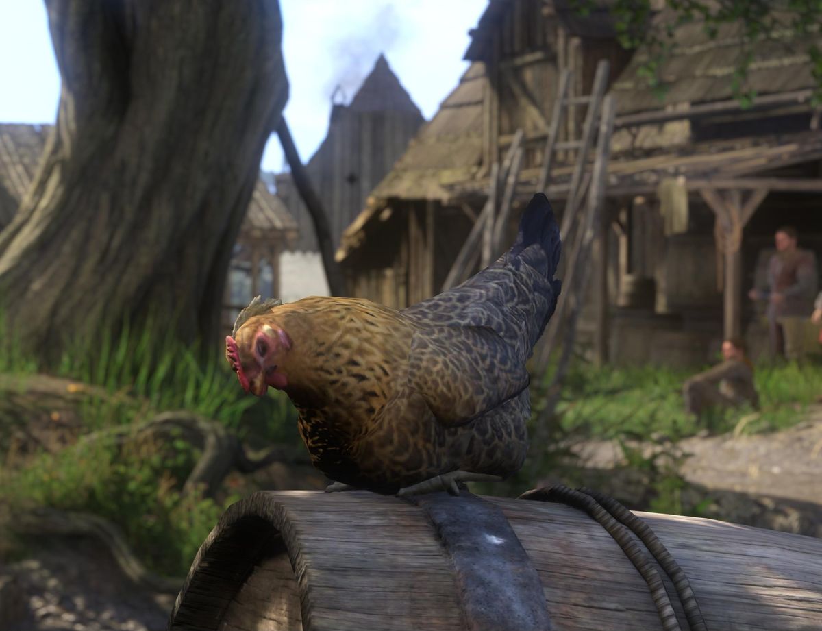 Chicken (creature) - Kingdom Come: Deliverance Wiki