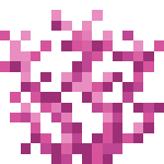 Coral - Minecraft Wiki Oficial