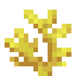 Coral - Minecraft Wiki Oficial