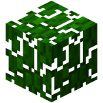 Folhas - Minecraft Wiki Oficial