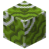 Glasierte Keramik – Das offizielle Minecraft Wiki