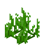 Hierba marina - El oficial Minecraft Wiki