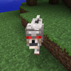 Lobo - El oficial Minecraft Wiki