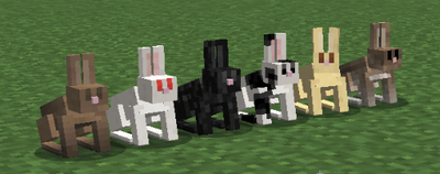Lapin – Le Minecraft Wiki officiel