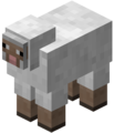 Mouton – Le Minecraft Wiki officiel
