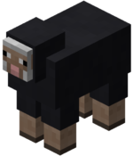 Mouton – Le Minecraft Wiki officiel