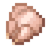 Raw Chicken – Official Minecraft Wiki