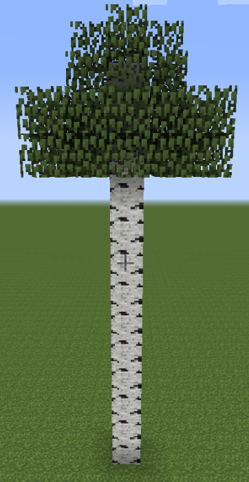 File:Tall Birch Tree.png – Official Minecraft Wiki
