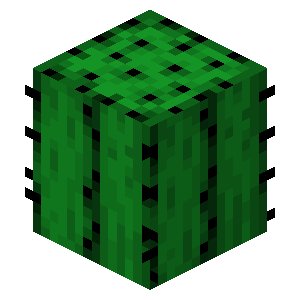 File:Cactus JE4.png – Official Minecraft Wiki