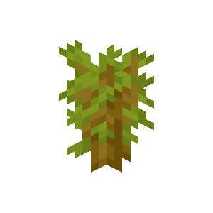 Sapling – Official Minecraft Wiki