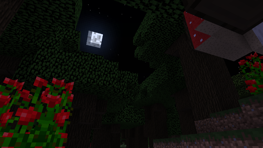 File:ForestNighttime.png – Official Minecraft Wiki