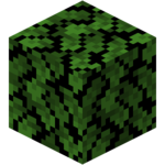 Leaves – Official Minecraft Wiki