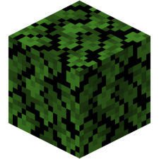 Leaves – Official Minecraft Wiki