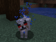 Wolf – Official Minecraft Wiki
