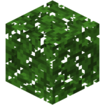 Leaves – Official Minecraft Wiki