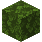 Leaves – Official Minecraft Wiki