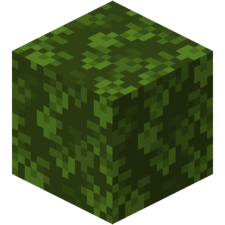 Leaves – Official Minecraft Wiki