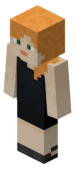 Skin – Official Minecraft Wiki