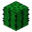 Cactus – Official Minecraft Wiki
