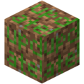 Category:Placeholder blocks – Official Minecraft Wiki