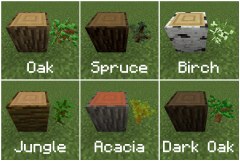 Sapling – Official Minecraft Wiki