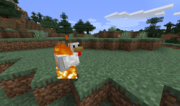 Chicken – Official Minecraft Wiki