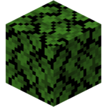 Leaves – Official Minecraft Wiki