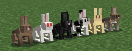 Rabbit – Official Minecraft Wiki