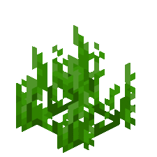 Seagrass – Official Minecraft Wiki