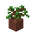 Sapling – Official Minecraft Wiki
