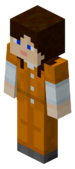Skin – Official Minecraft Wiki
