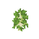 Sapling – Official Minecraft Wiki