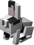 Rabbit – Official Minecraft Wiki