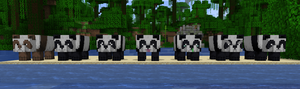 Panda – Official Minecraft Wiki