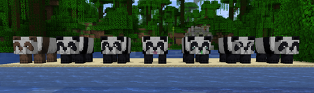 Panda – Official Minecraft Wiki