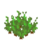 Carrot – Official Minecraft Wiki