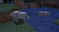 Wolf – Official Minecraft Wiki
