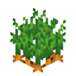 Carrot – Official Minecraft Wiki