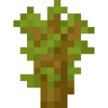 File:Acacia Sapling JE2 BE2.png – Official Minecraft Wiki